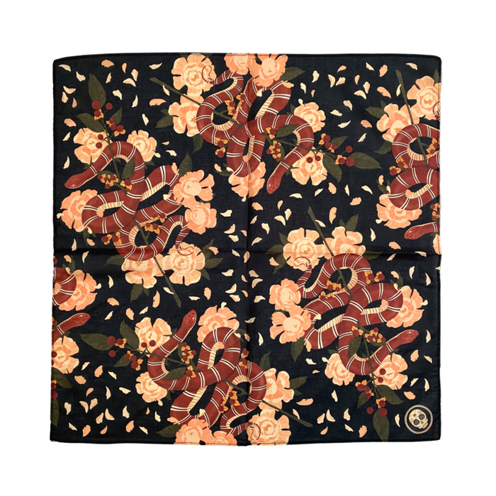 Accessories – Continuum Skateshop